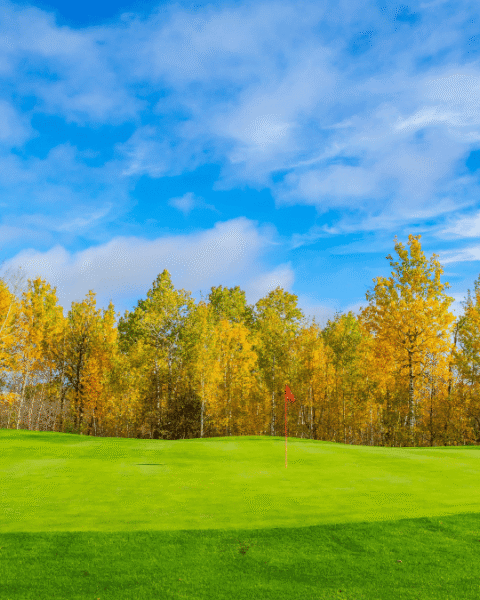 Home - Nemadji Golf Course