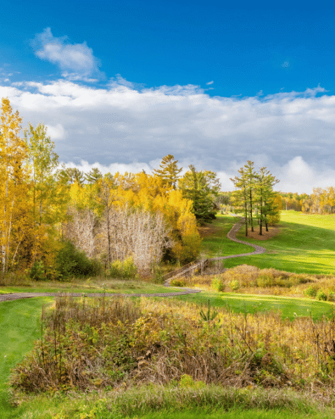 Home - Nemadji Golf Course
