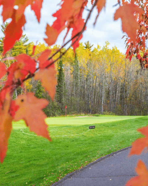 Home - Nemadji Golf Course