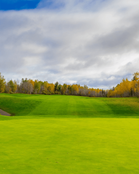 Home - Nemadji Golf Course